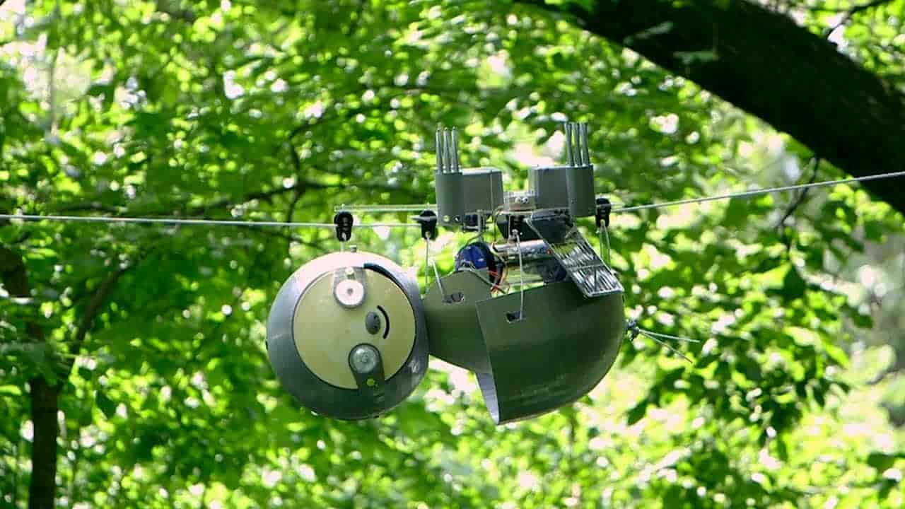 Este robot es el rey de los árboles mientras vigila a los animales 2020